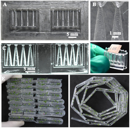 A Foldable Chip Array for the Continuous Investigation of Seed ...