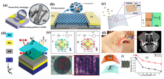 Development Trends and Perspectives of Future Sensors and MEMS/NEMS