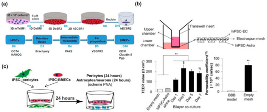 In Vitro Blood–Brain Barrier-Integrated Neurological Disorder Models Using a Microfluidic Device