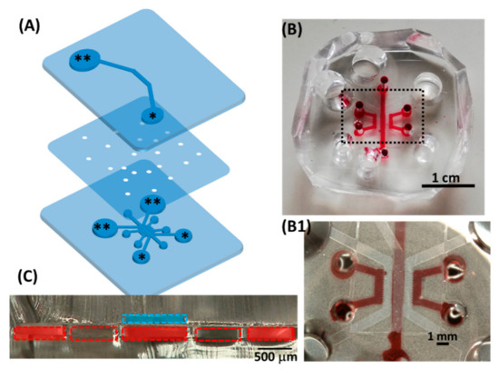 Prototyping a Versatile Two-Layer Multi-Channel Microfluidic Device for ...