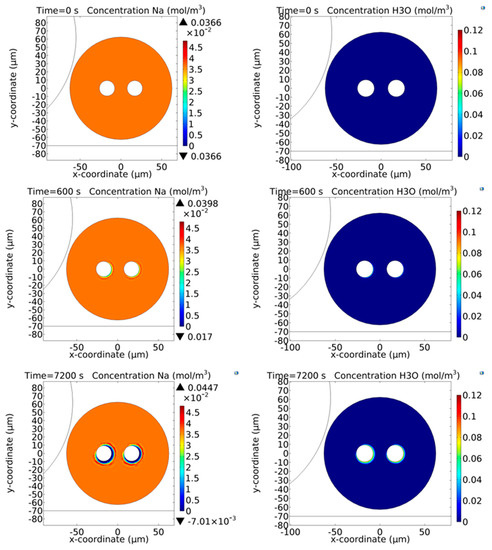 Thermal Poling of Optical Fibers: A Numerical History
