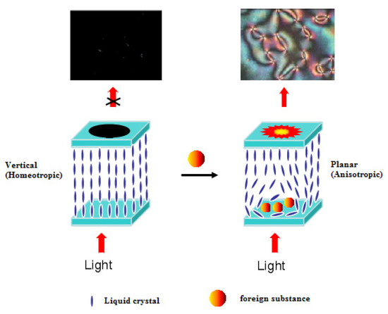 Application and Technique of Liquid Crystal-Based Biosensors