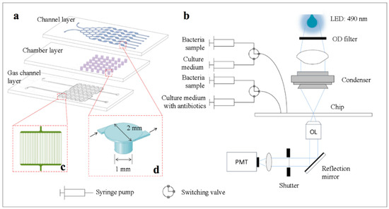 On-chip MIC by Combining Concentration Gradient Generator and Flanged ...