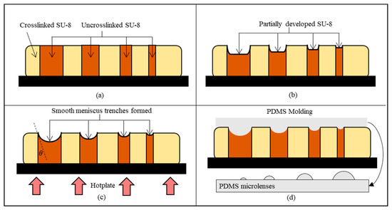 Microfabrication of Microlens by Timed-Development-and-Thermal-Reflow ...