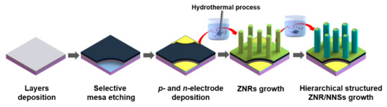 Self-Aligned Hierarchical ZnO Nanorod/NiO Nanosheet Arrays for High Photon Extraction Efficiency ...