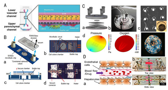 Drug Toxicity Evaluation Based on Organ-on-a-chip Technology: A Review