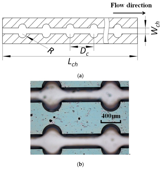 Experimental Investigation of the Flow and Heat Transfer ...