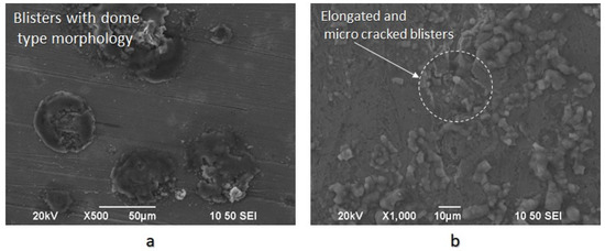 Investigation of Hydrogen Embrittlement Susceptibility and Fracture ...