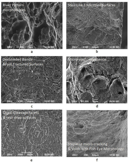 Investigation of Hydrogen Embrittlement Susceptibility and Fracture ...