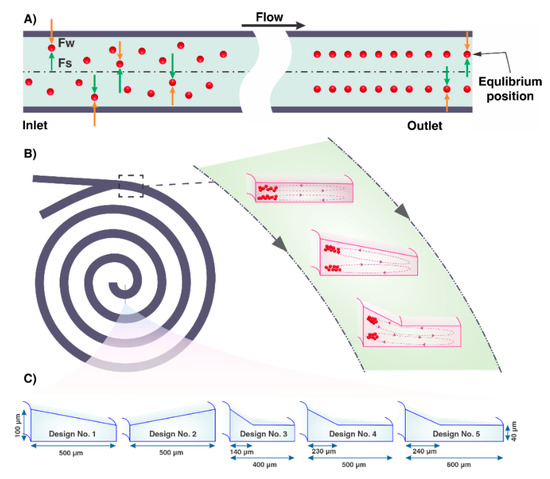High-Throughput Particle Concentration Using Complex Cross-Section Microchannels
