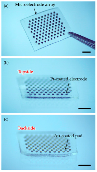 Fabrication of Subretinal 3D Microelectrodes with Hexagonal Arrangement