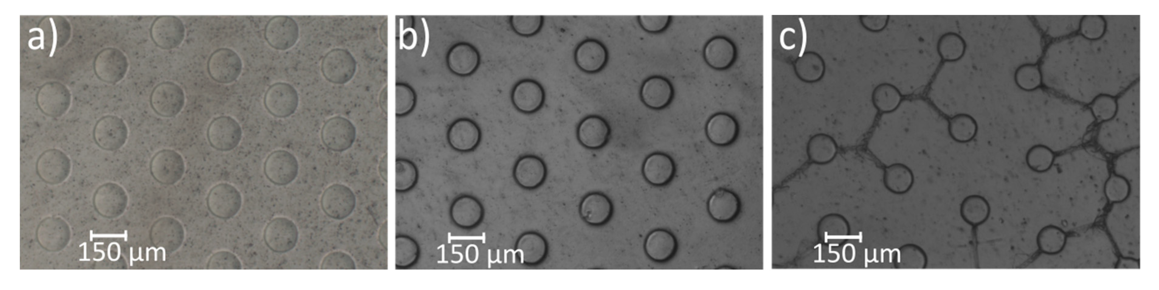 Hydrogel Patterns in Microfluidic Devices by Do-It-Yourself UV ...