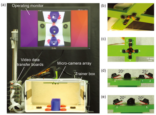 Large-Field-of-View Visualization with Small Blind Spots Utilizing Tilted Micro-Camera Array for ...