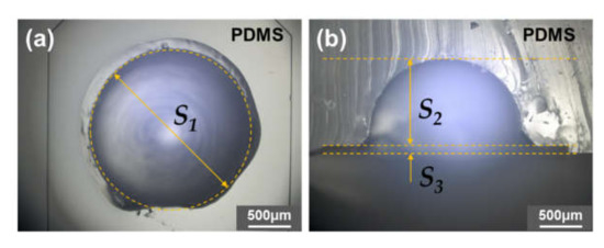 A Microfluidic Diagnostic Device Capable of Autonomous Sample Mixing ...