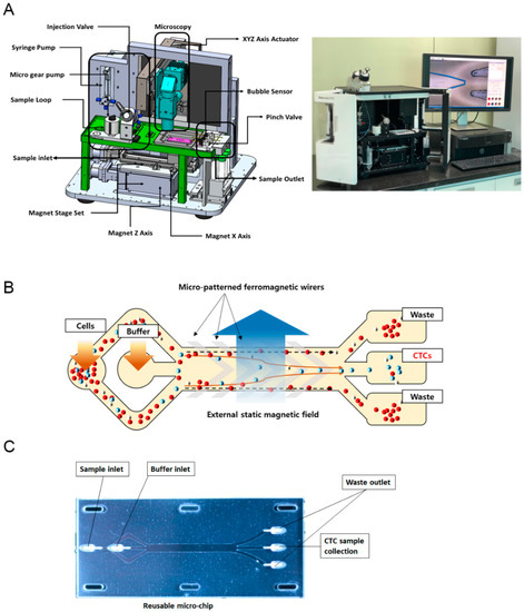 An Immune–Magnetophoretic Device for the Selective and Precise ...