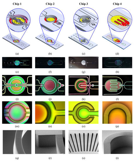 OOCHIP: Compartmentalized Microfluidic Perfusion System with Porous ...