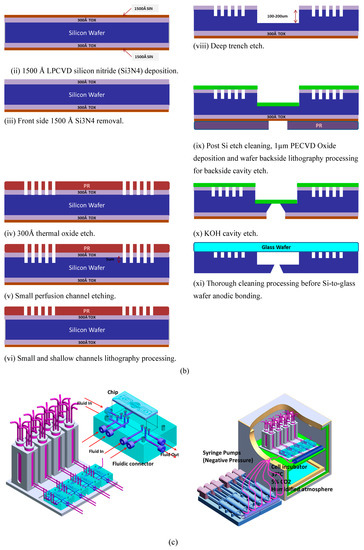 OOCHIP: Compartmentalized Microfluidic Perfusion System with Porous ...