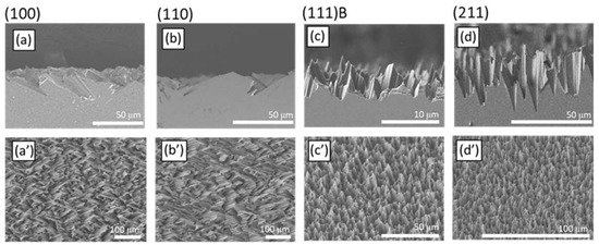 Black GaAs: Gold-Assisted Chemical Etching for Light Trapping and ...