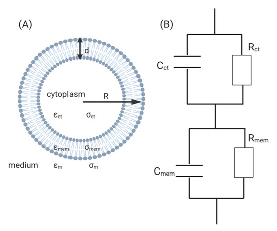Recent Advances in Monitoring Cell Behavior Using Cell-Based Impedance ...