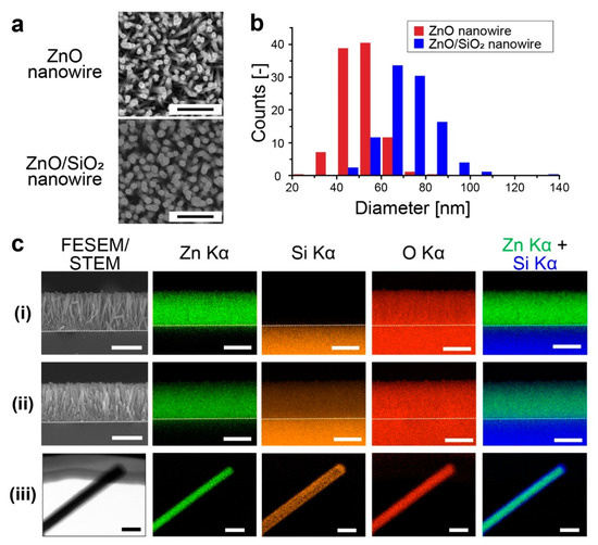 Mechanical Rupture-Based Antibacterial and Cell-Compatible ZnO/SiO2 ...