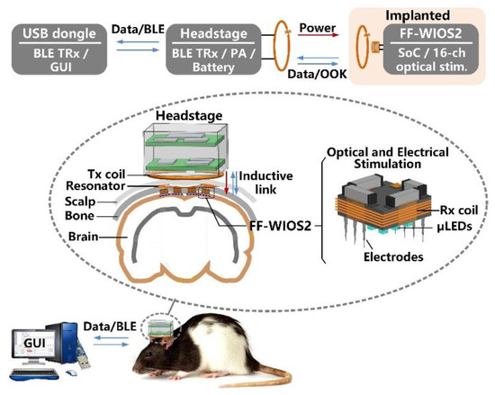 A mm-Sized Free-Floating Wireless Implantable Opto-Electro Stimulation ...