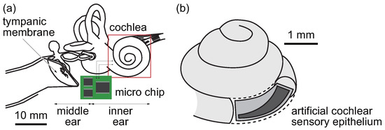 A Preliminary Prototype High-Speed Feedback Control of an Artificial ...