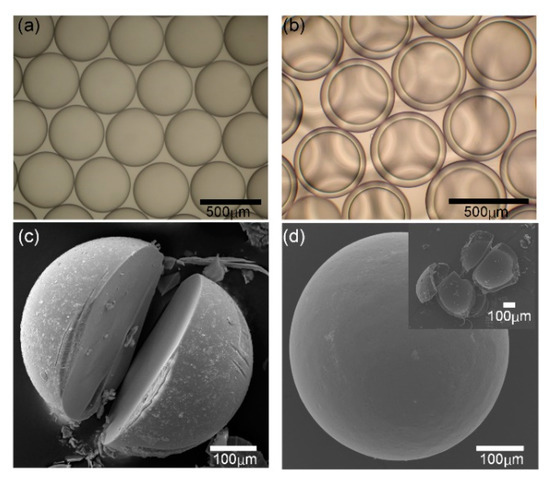Fabrication of Microspheres from High-Viscosity Bioink Using a Novel ...
