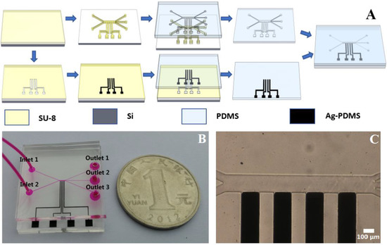 Dielectrophoretic Separation of Particles Using Microfluidic Chip with ...
