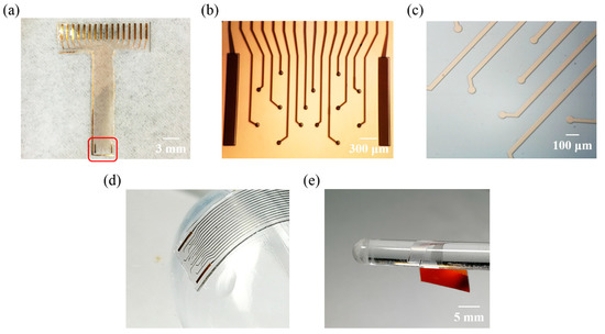 Flexible Electrocorticography Electrode Array for Epileptiform ...