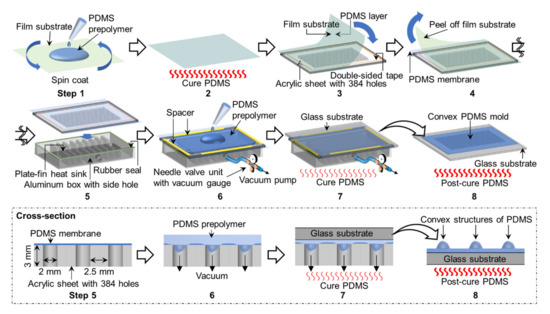 Micromachines | Free Full-Text | Facile Fabrication of Thin-Bottom ...