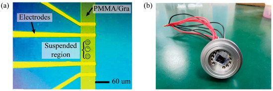 Improved High-Yield PMMA/Graphene Pressure Sensor and Sealed Gas Effect ...