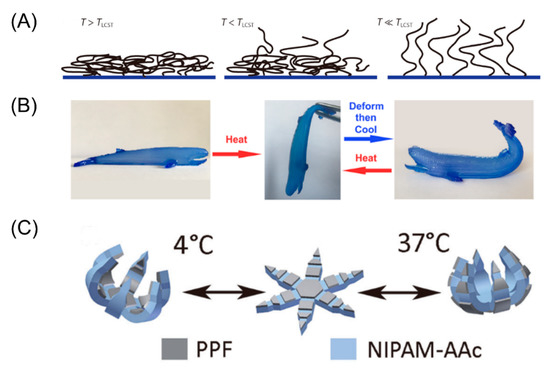 4D Printing: A Review on Recent Progresses