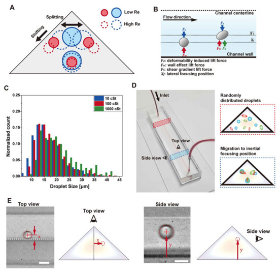 Changes of Inertial Focusing Position in a Triangular Channel Depending ...