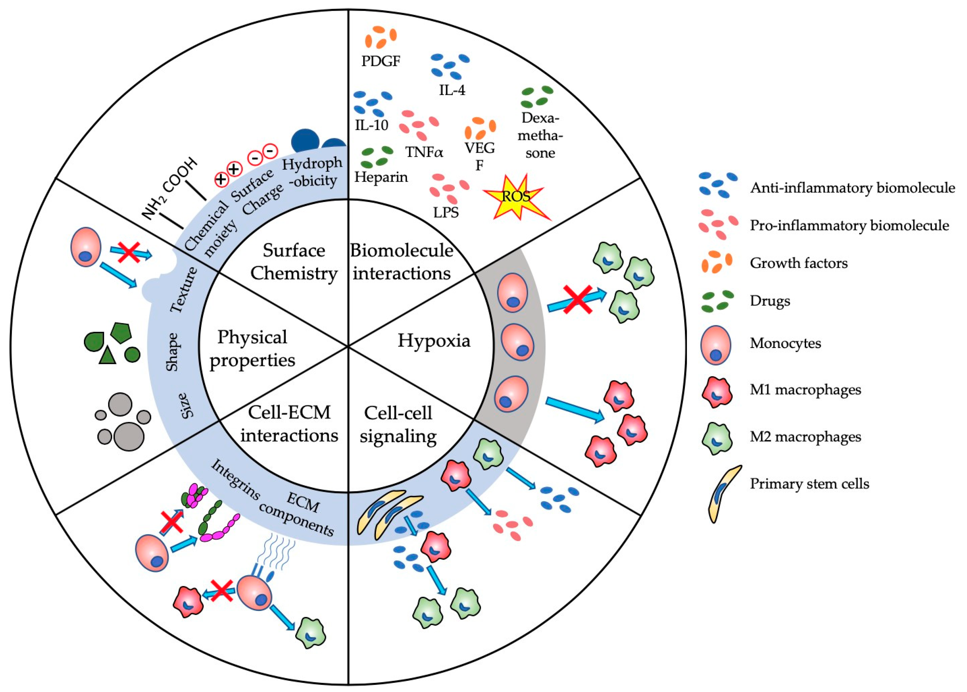 Immune Organs and Immune Cells on a Chip: An Overview of Biomedical ...