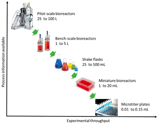 Miniaturization and 3D Printing of Bioreactors: A Technological Mini Review
