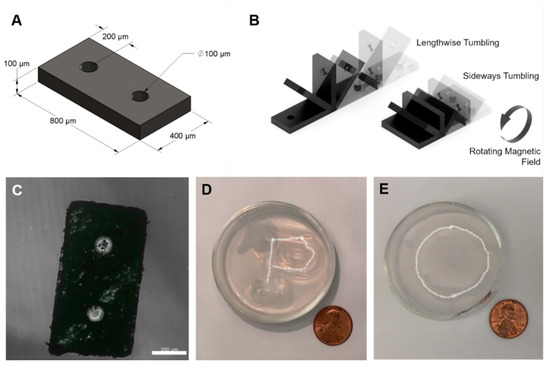 A Tumbling Magnetic Microrobot System for Biomedical Applications