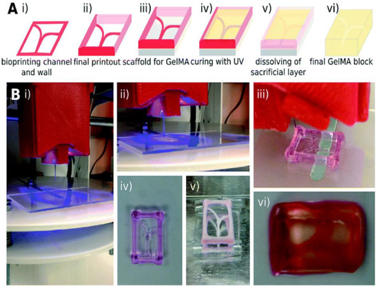 Lab-on-a-Chip for Cardiovascular Physiology and Pathology