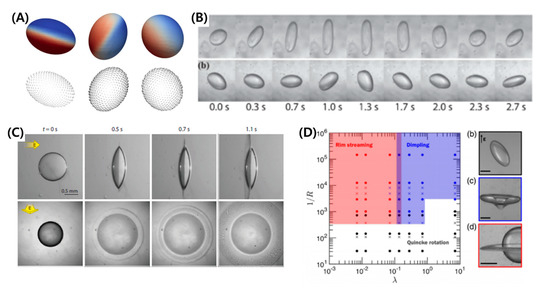 Electro-Hydrodynamics of Emulsion Droplets: Physical Insights to ...