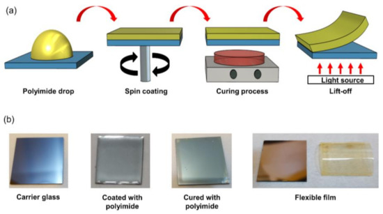 Xenon Flash Lamp Lift-Off Technology without Laser for Flexible Electronics