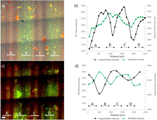 A Microfluidic Chip Architecture Enabling a Hypoxic Microenvironment and Nitric Oxide Delivery ...