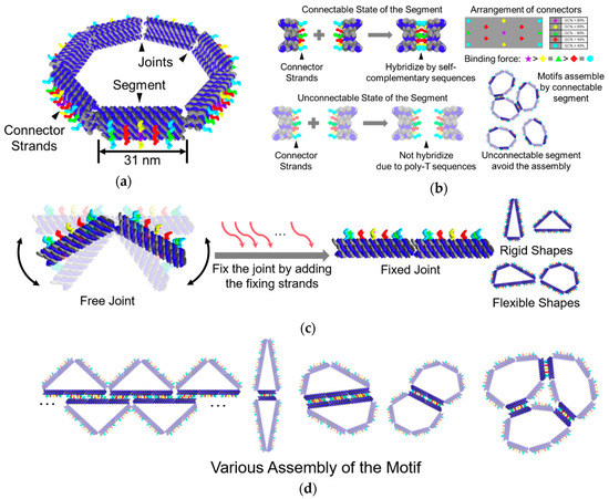 DNA Ring Motif with Flexible Joints
