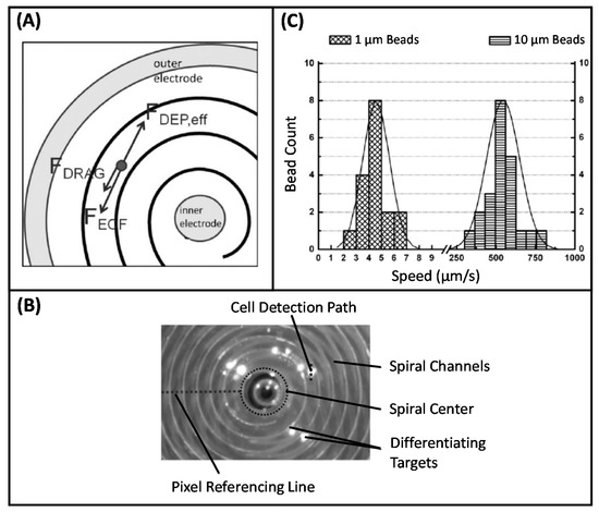 A Prominent Cell Manipulation Technique in BioMEMS: Dielectrophoresis