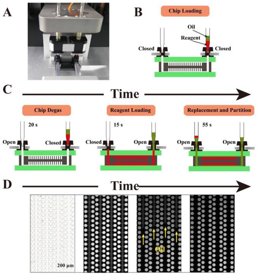 A Double-Deck Self-Digitization Microfluidic Chip for Digital PCR