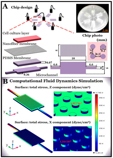PLGA Nanofiber/PDMS Microporous Composite Membrane-Sandwiched Microchip ...