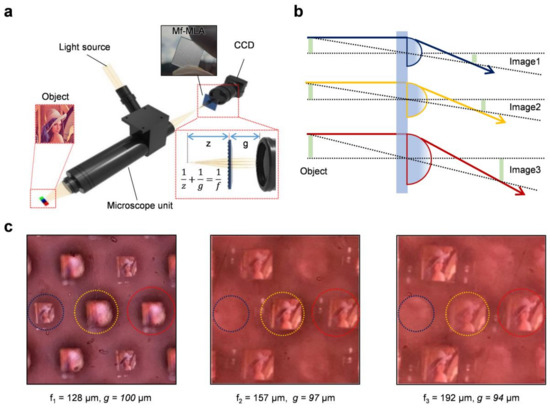 High-Identical Numerical Aperture, Multifocal Microlens Array through ...