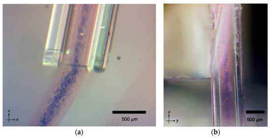 Acoustic Cell Patterning in Hydrogel for Three-Dimensional Cell Network ...