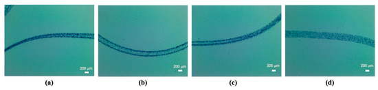 Acoustic Cell Patterning in Hydrogel for Three-Dimensional Cell Network ...