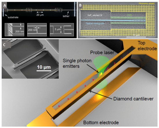 Recent Advances in Single Crystal Diamond Device Fabrication for ...