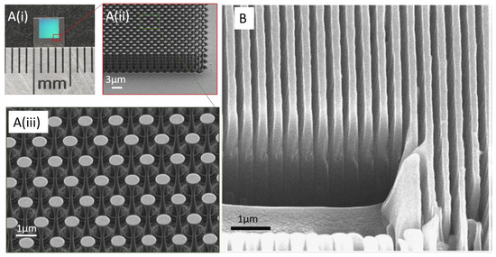 Recent Advances in Single Crystal Diamond Device Fabrication for ...