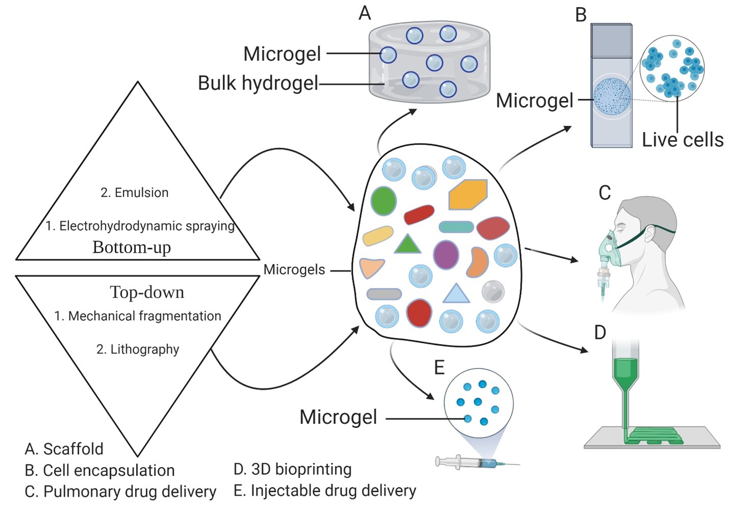 Micromachines | Free Full-Text | Engineered Microgels—Their ...